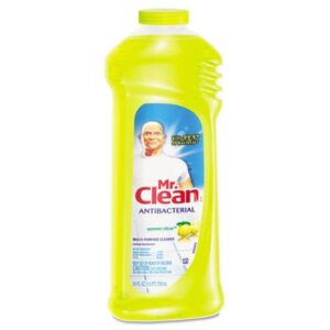 Mr. Clean | President Container Group